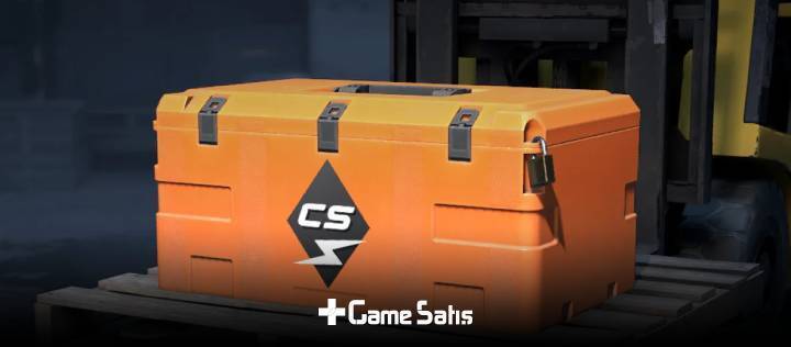 Counter Strike: 2 Kilowatt Kasası: İçindekiler, Özel Eşya Skinleri